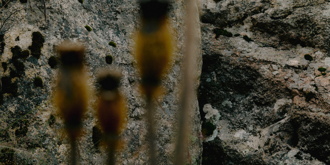 Men's COLD conditions